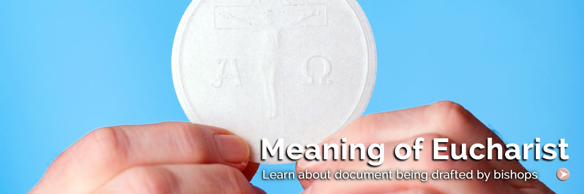 Catholic Diocese of Little Rock | DOLR.org